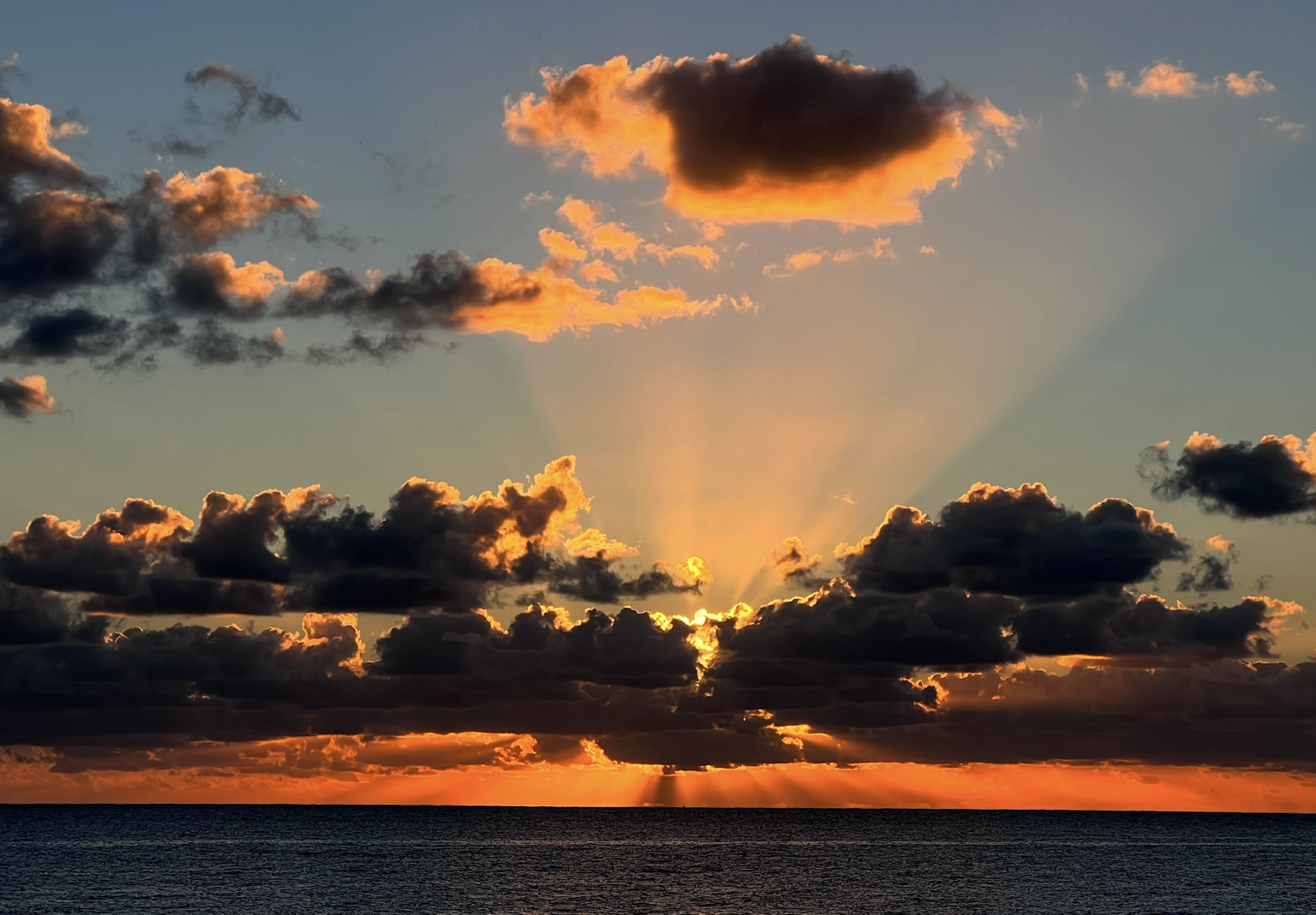 SeattleArtists.com - The Original Seattle Art Network & Marketplace for ...