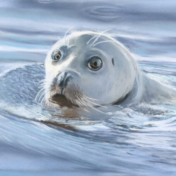 SeattleArtists.com - The Original Seattle Art Network & Marketplace for ...